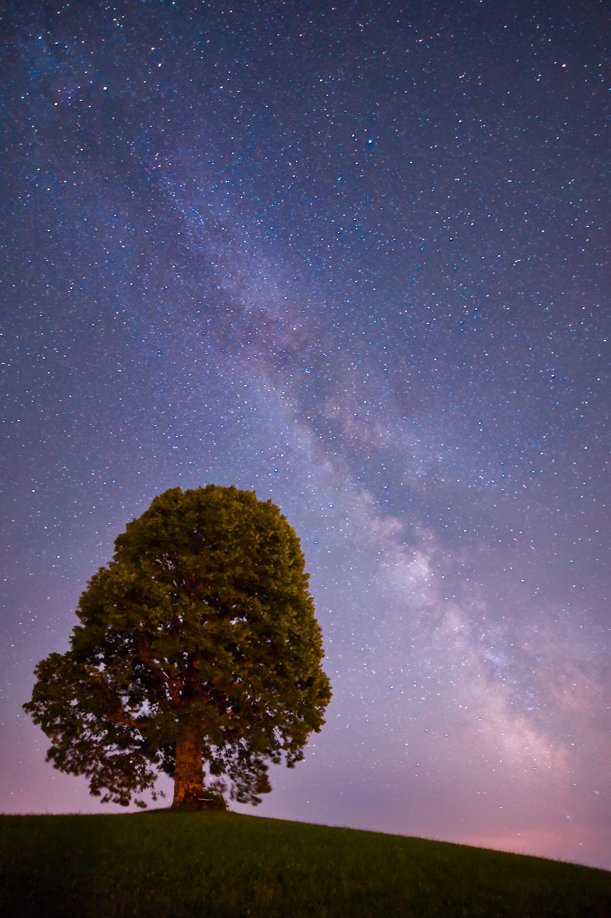 test – Joachim Braun